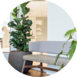 Spacefitters - Interior design and furniture